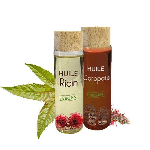 Les Bienfaits des Huiles de Ricin et de Carapate